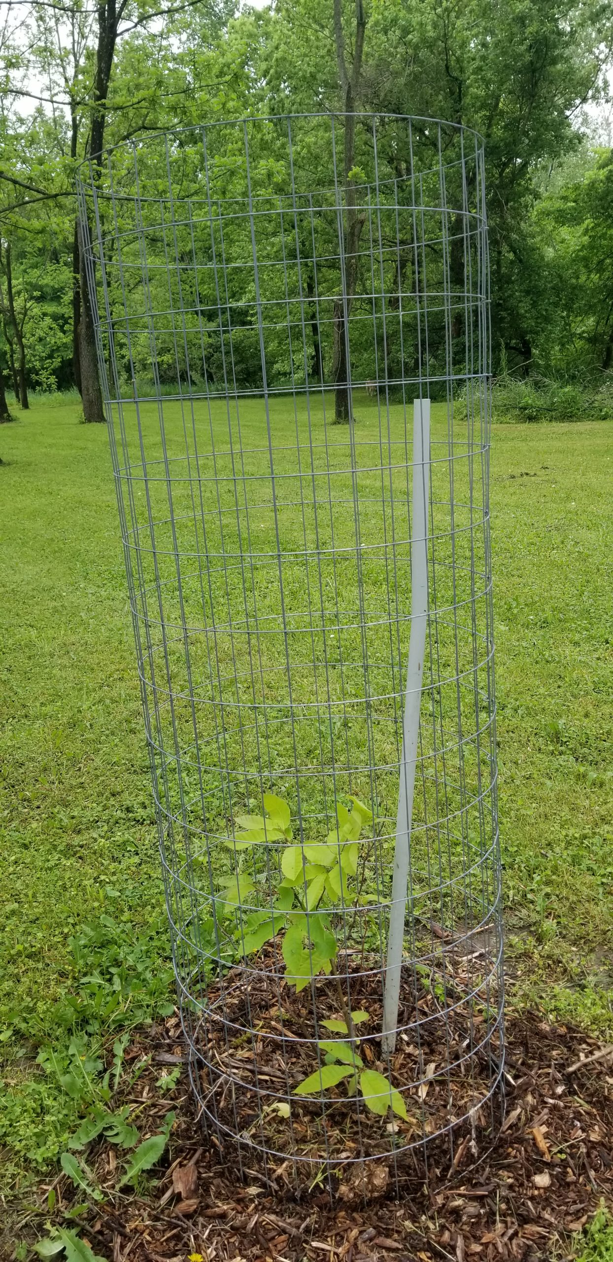 Chestnut Resources – Northern Nut Growers Association